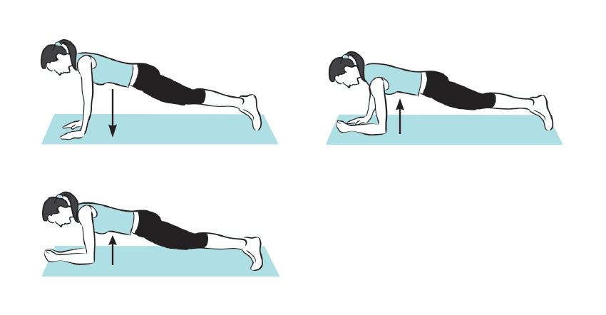 Plank exercises for your biceps and core | Blue blog | Wellmark