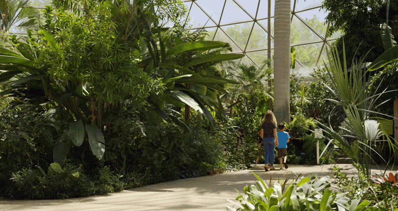 Curious about a workplace well-being programs? | Blue@Work blog | Wellmark