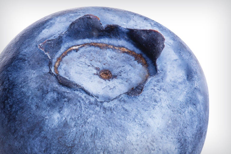 What is the purpose of inflammation | Blue blog | Wellmark