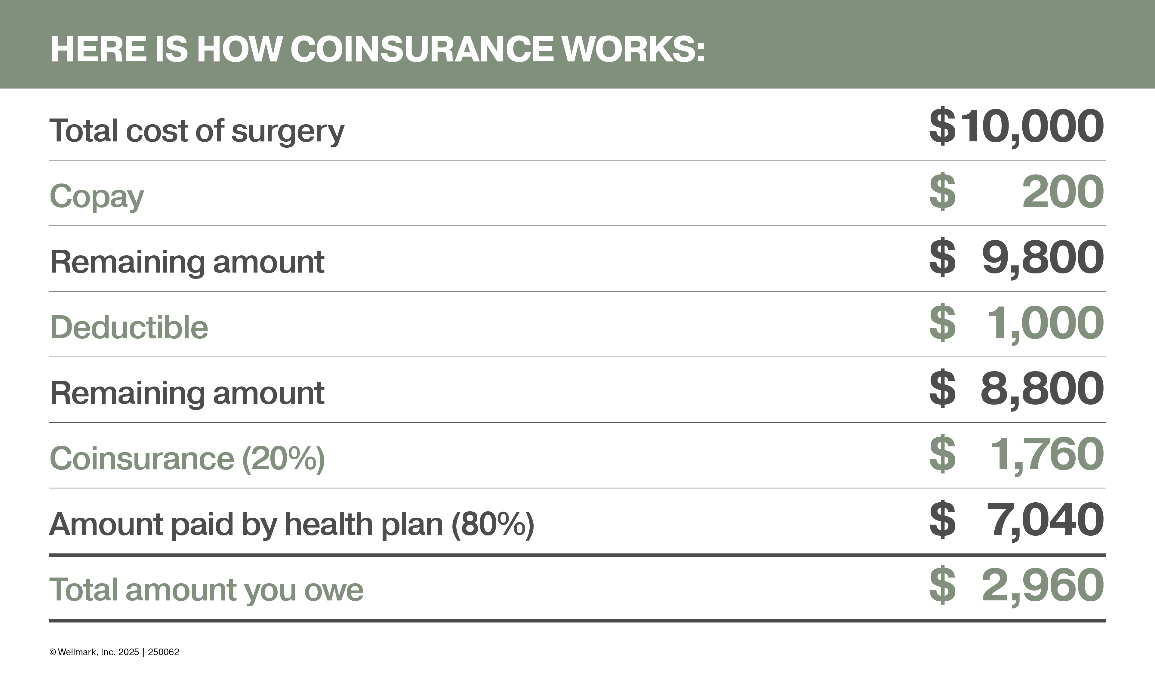 What is coinsurance? Definition and meaning | Blue blog | Wellmark